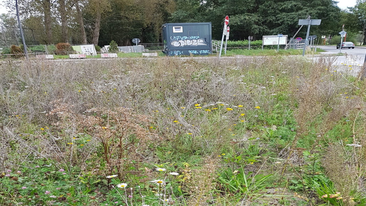 Bezirke 2023: Nachhaltige Bezirke tragen zur Umsetzung der ...